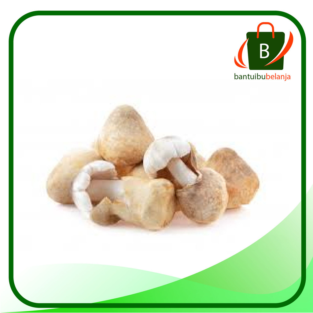 Jual JAMUR MERANG SEGAR [per bungkus] | Shopee Indonesia