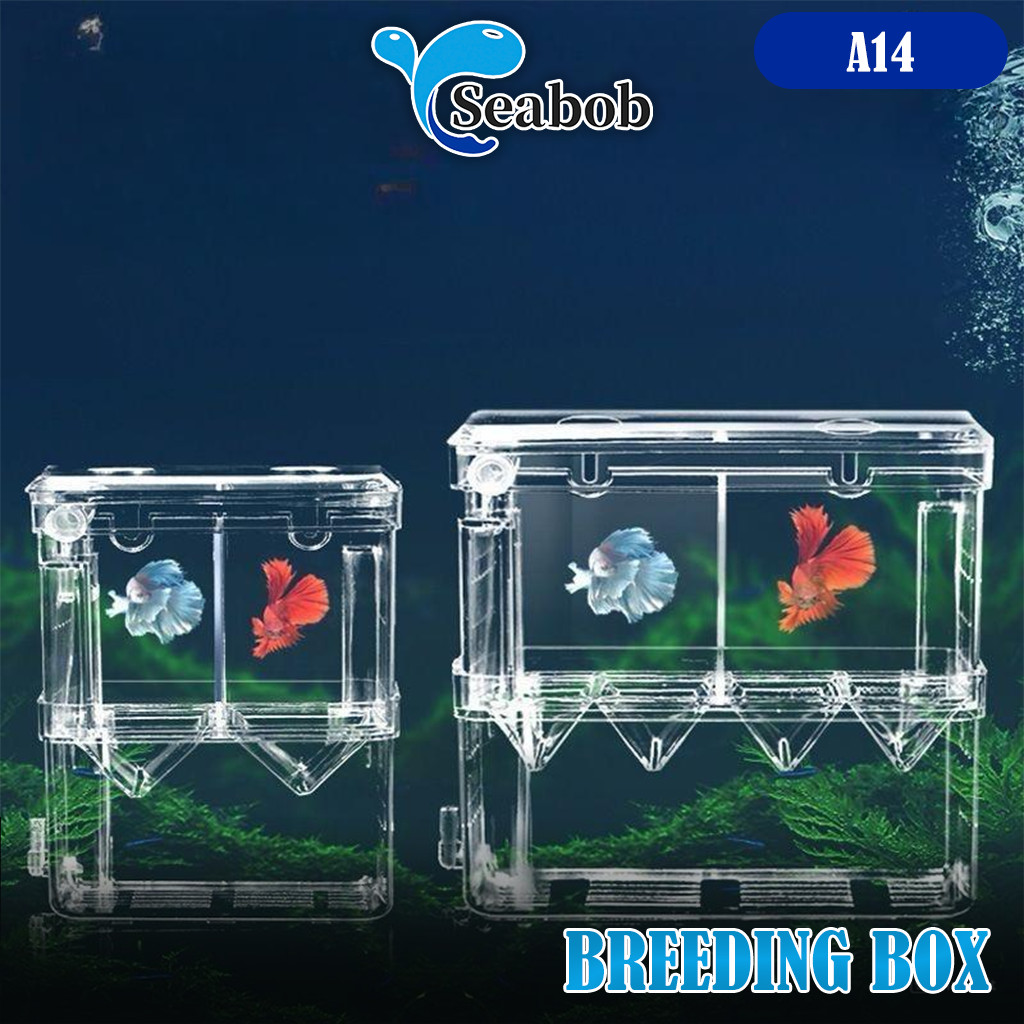 Jual SEABOB Breeding Box Guppy A14/ Isolation Box / Wadah Karantina ...