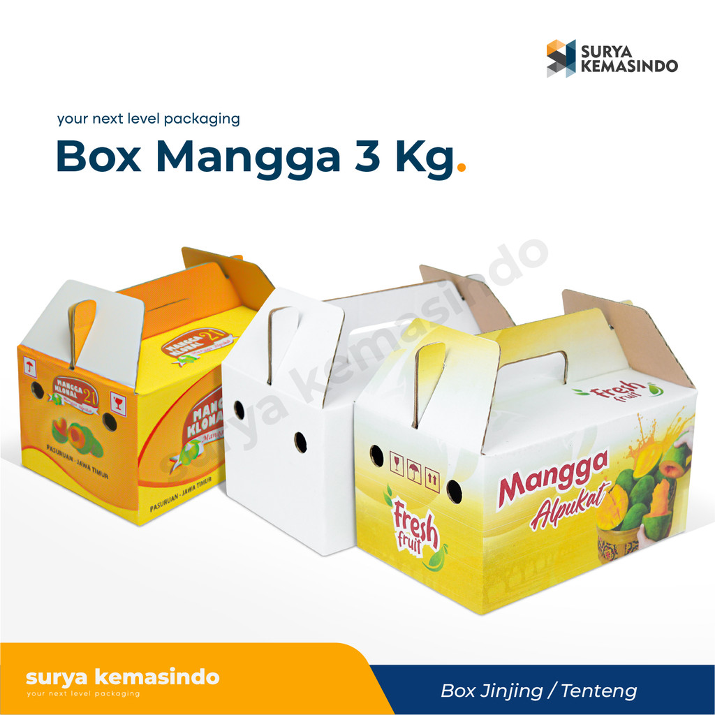 Jual BOX MANGGA ISI 6 BUAH (3 kg) Set Sekat/KARDUS/KLONAL/KLONAL21 ...
