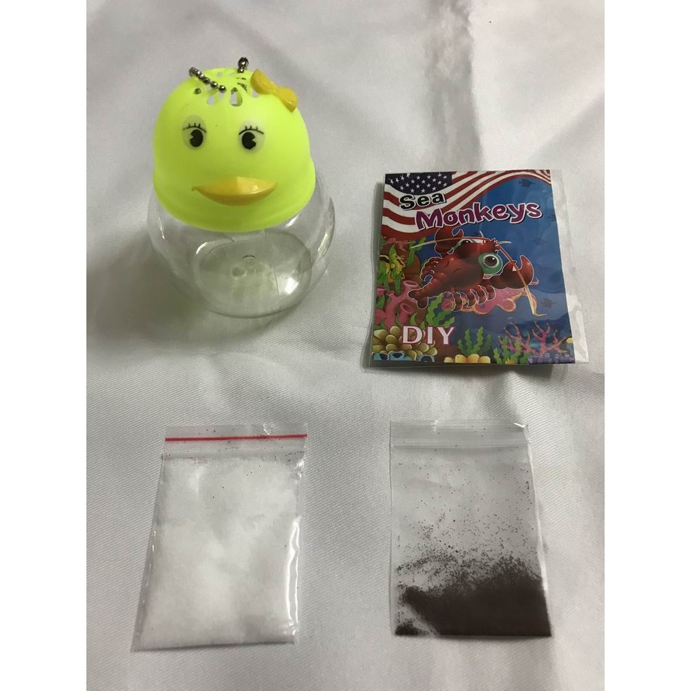 Jual 15mm L Sea Monkeys Egg Monkey Eggs With An Aquario Aquarium Kit ...