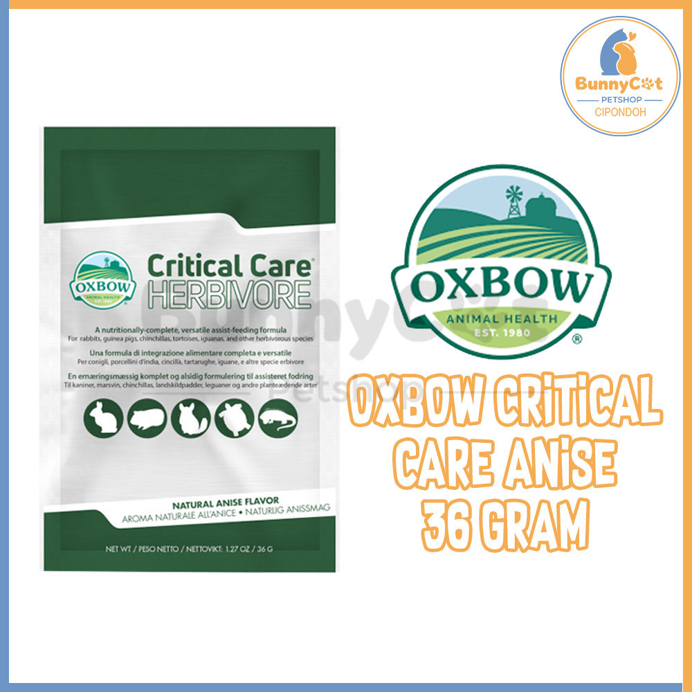 Jual OXBOW Critical Care 36gr Forcefeed Pengganti Makanan | Shopee ...