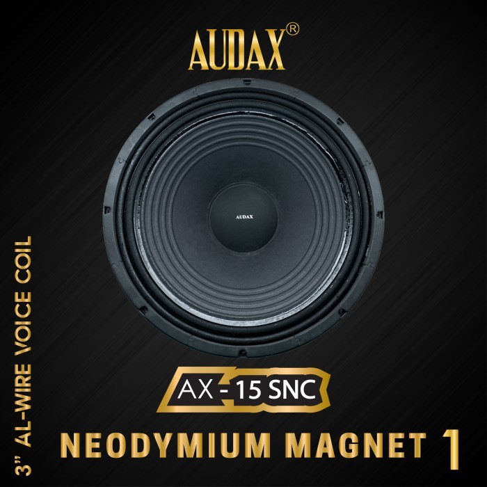 Jual Speaker Pasif 15" Audax AX-15 SNC Neodymium Series Full Range | Shopee Indonesia