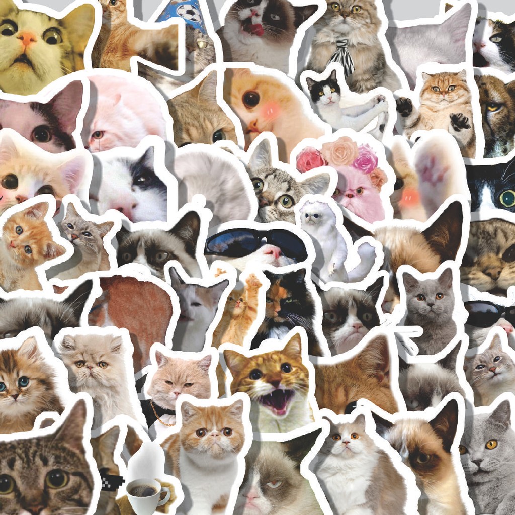 Jual Stiker Cutting Pack Stiker Funny Cats Emoji [Emoji Kucing Lucu ...