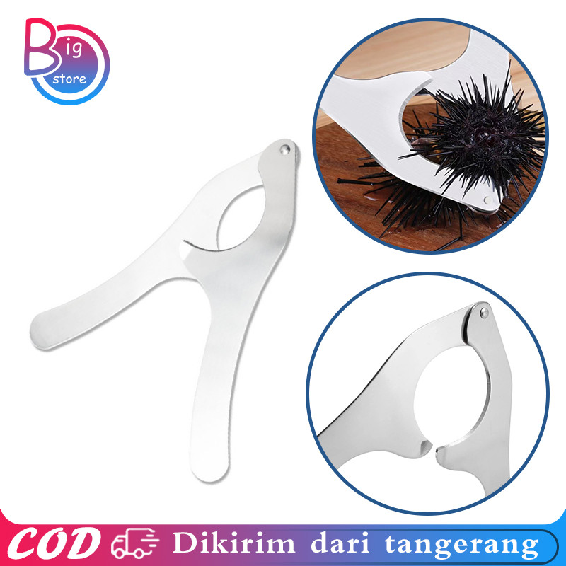 Jual Gunting Sea Urchin Sea Urchin Scissors Baja Tahan Karat Alat ...