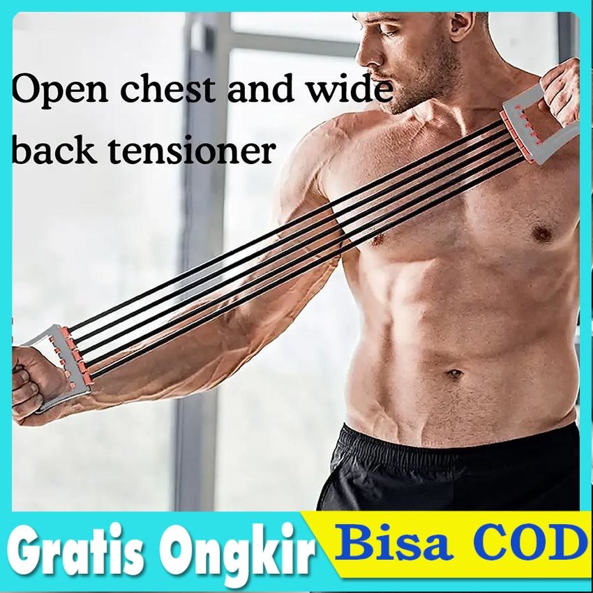 Jual Chest Expander 5 Per Spring Chest Pull Expander Per Besar Bahu ...