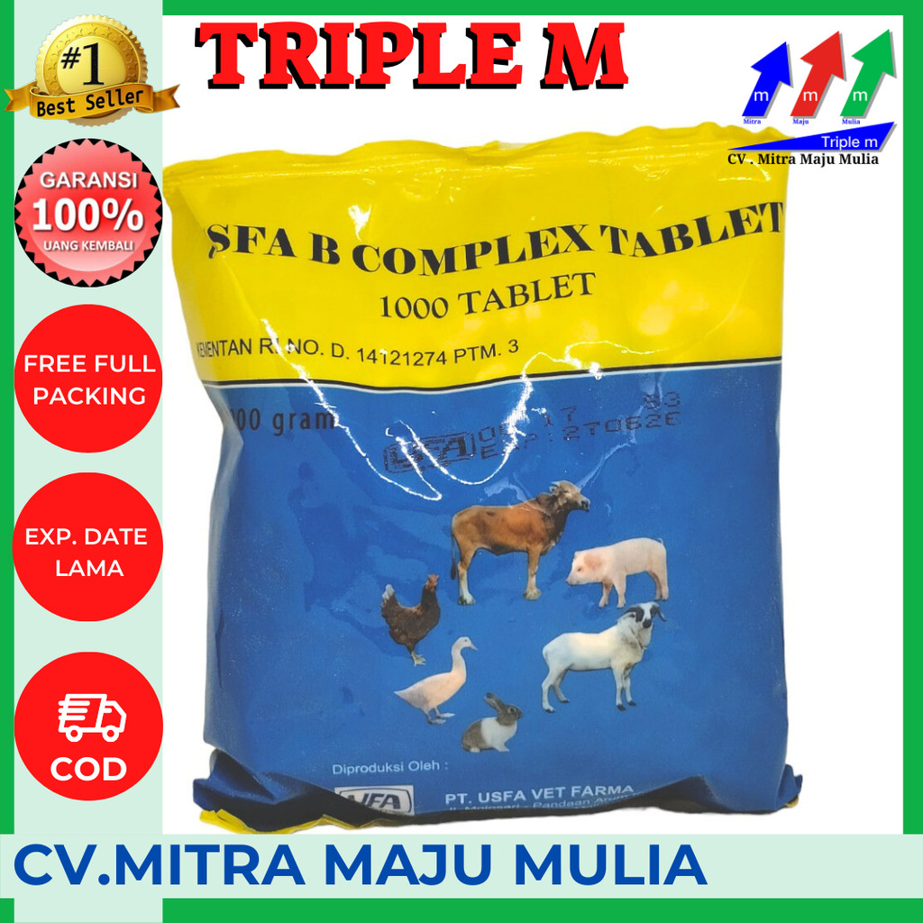 Jual USFA B COMPLEX Tablet - Vitamin B Komplek 1000 Tablet Meningkatkan ...