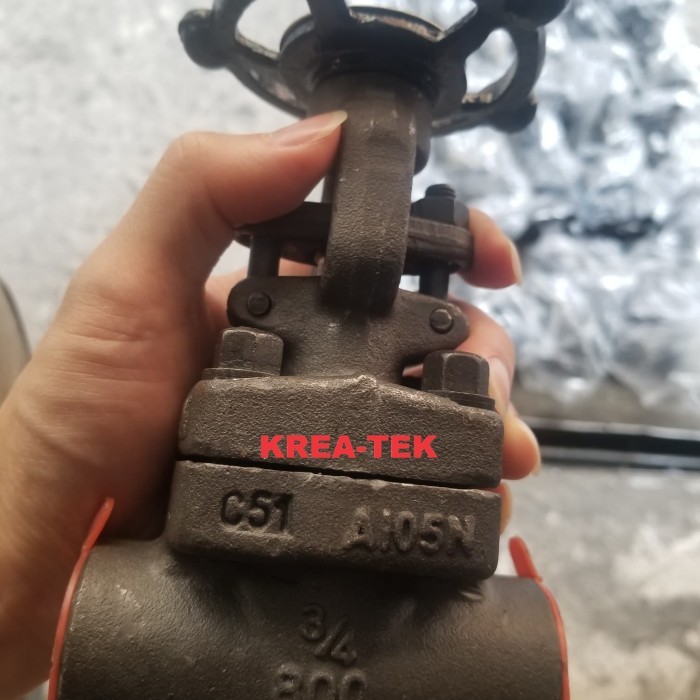 Jual Gate Valve Shoritsu 3/4 inch SW | Shopee Indonesia