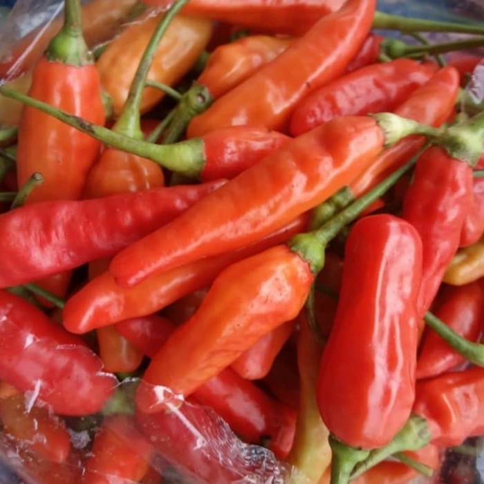Jual CABE RAWIT MERAH (pack 100gr) | Shopee Indonesia