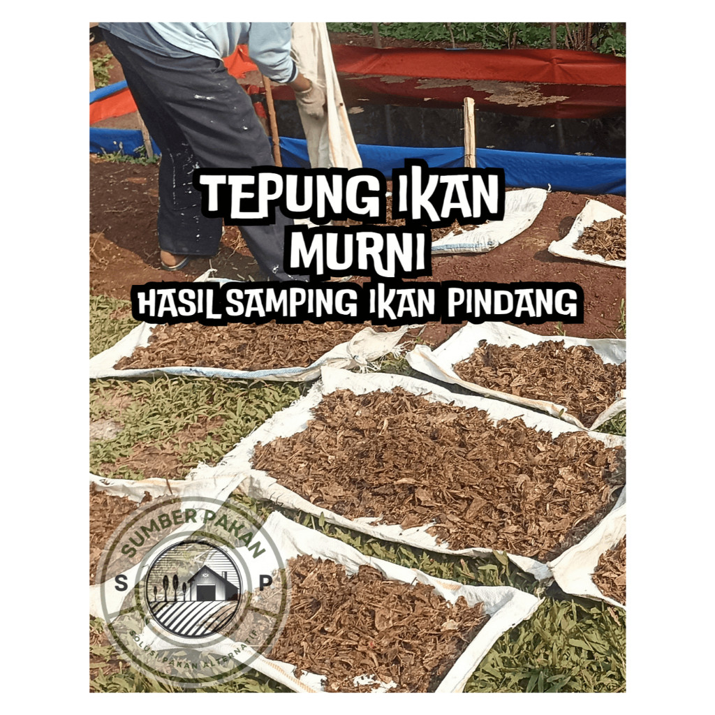 Jual SP Sumber Pakan - Kemasan Karung 20 kg Tepung Ikan Murni Tanpa ...