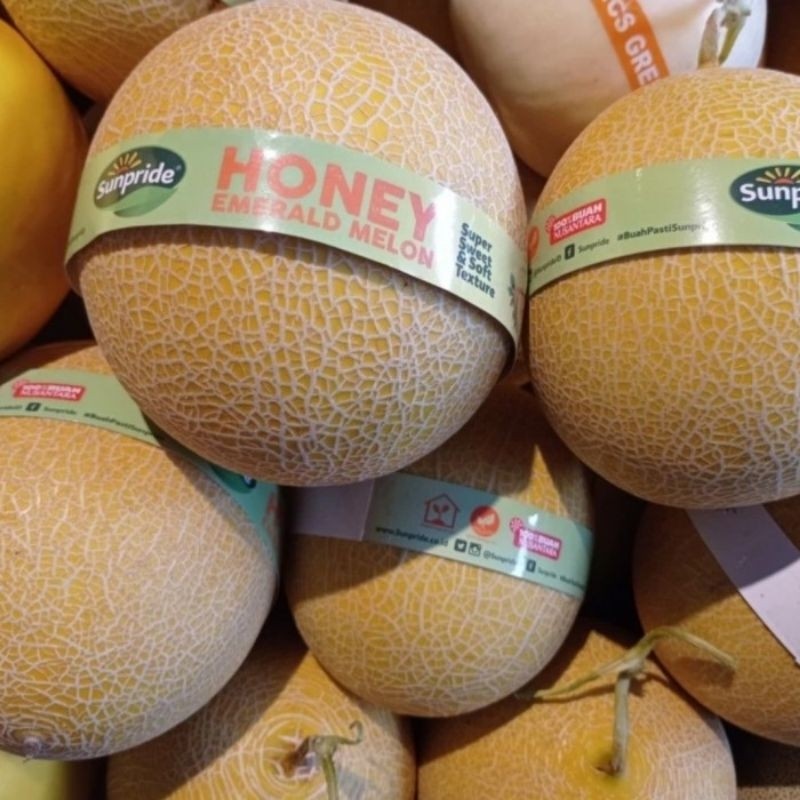 Jual 100 Benih Bibit Biji Melon madu HONEY GLOBE F1 Hibrida, Premium ...