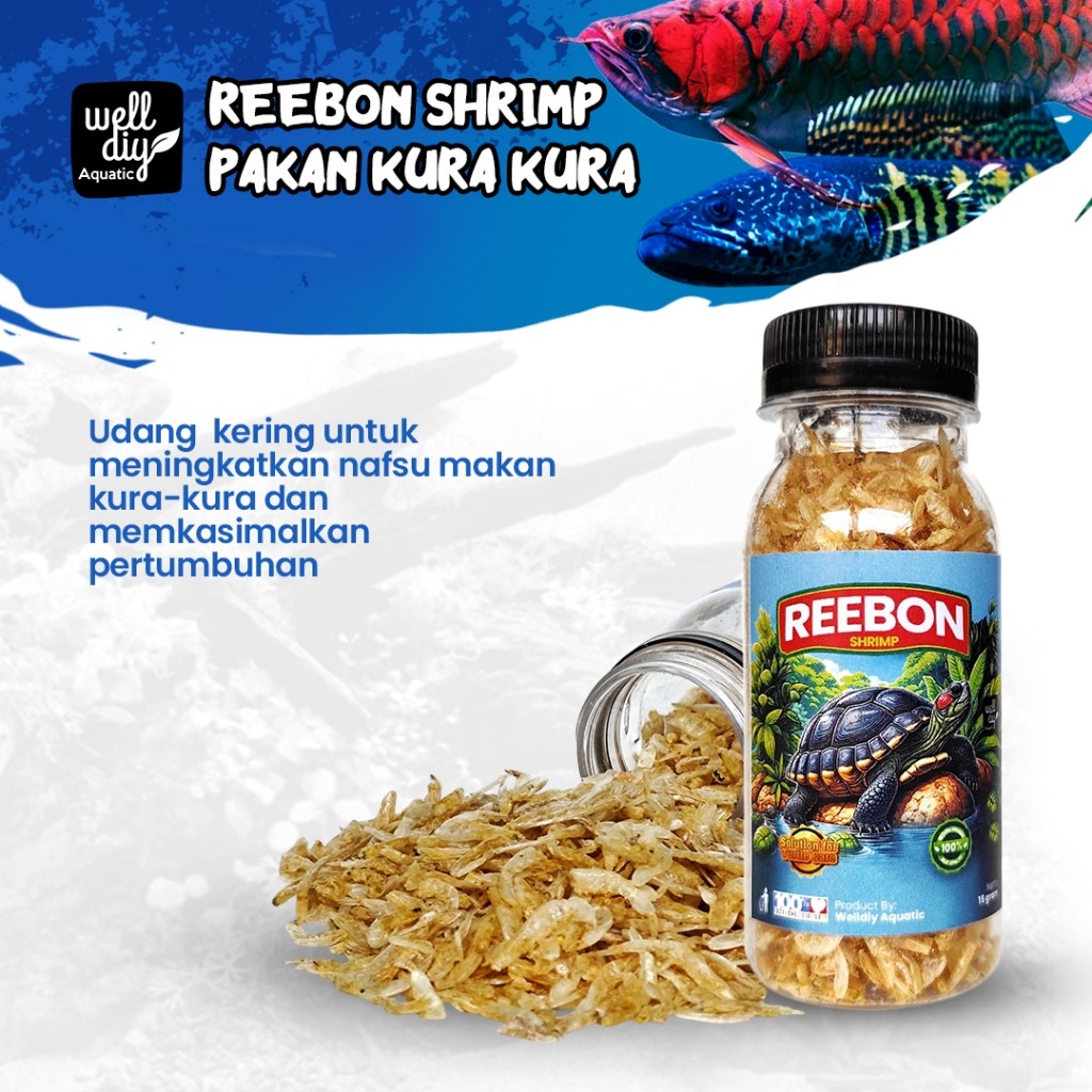 Jual Udang Kering Pakan Kura Kura Brazil Res Ambon Pakan Udang Kering ...
