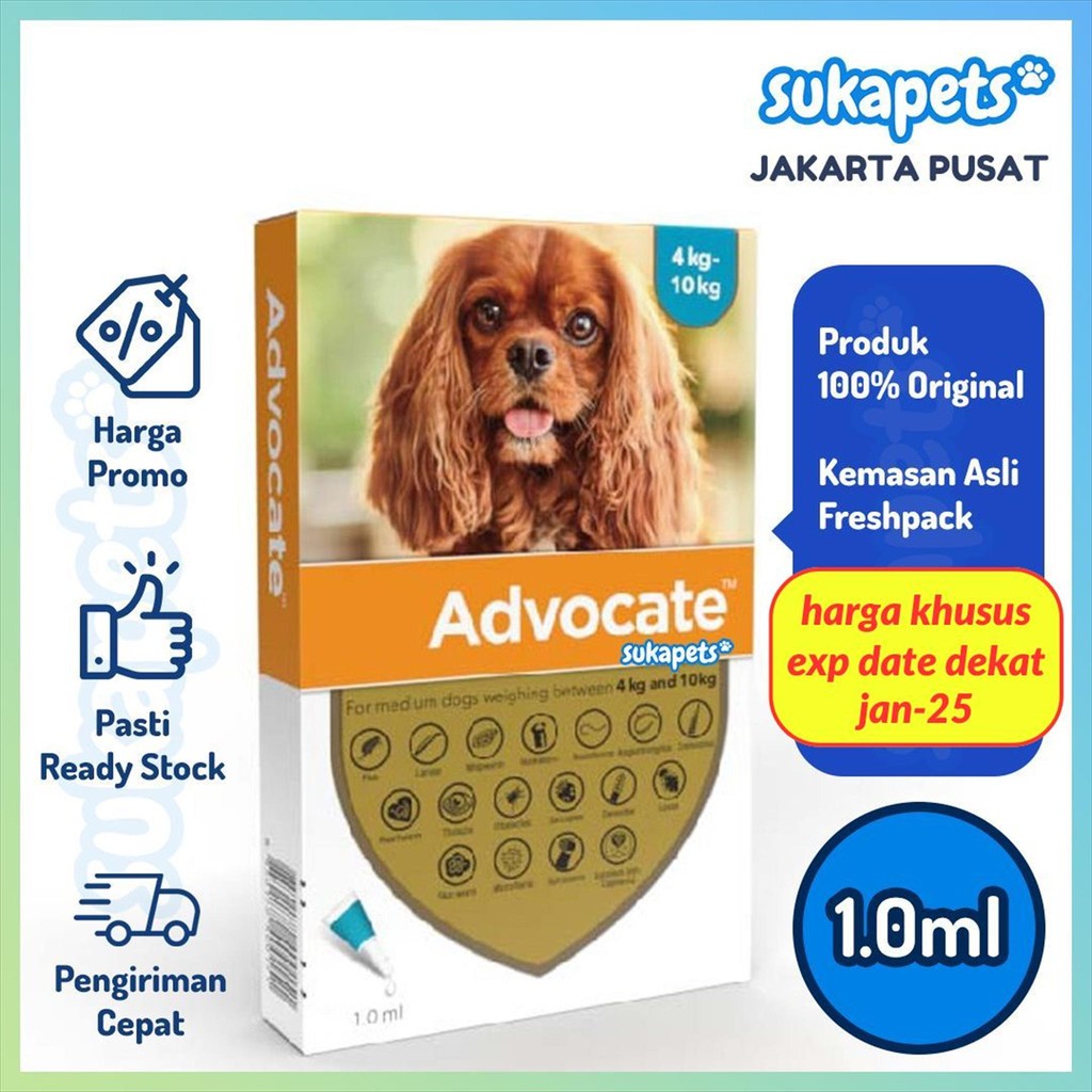 Jual Advocate Dog Obat Kutu Anjing M Berat Badan 4kg Sampai 10kg 1 ...