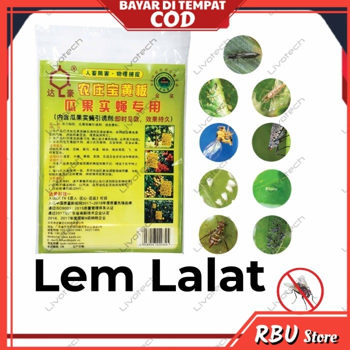 Jual Kertas Lem Kuning Perangkap Lalat Fruit Flies Glue Yellow Trap ...