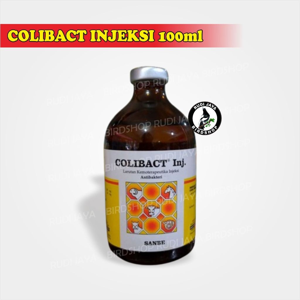 Jual SEDIA COLIBACT INJEKSI 50 ML 100 ML INJEKSI SANBE OBAT VITAMIN ...