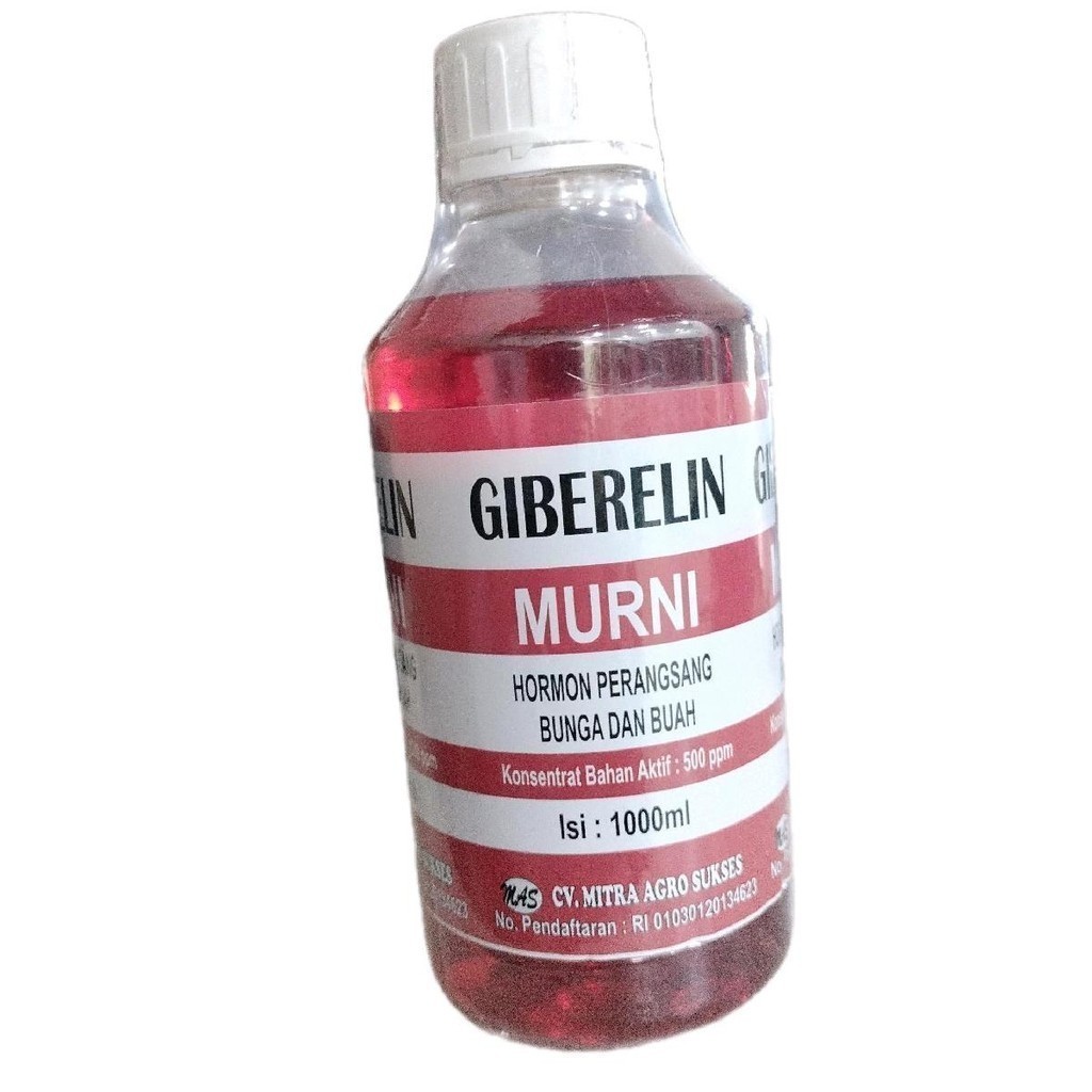 Jual Hormon Giberelin 1 Liter Meningkatkan Bunga Buah dan Hasil Panen ...