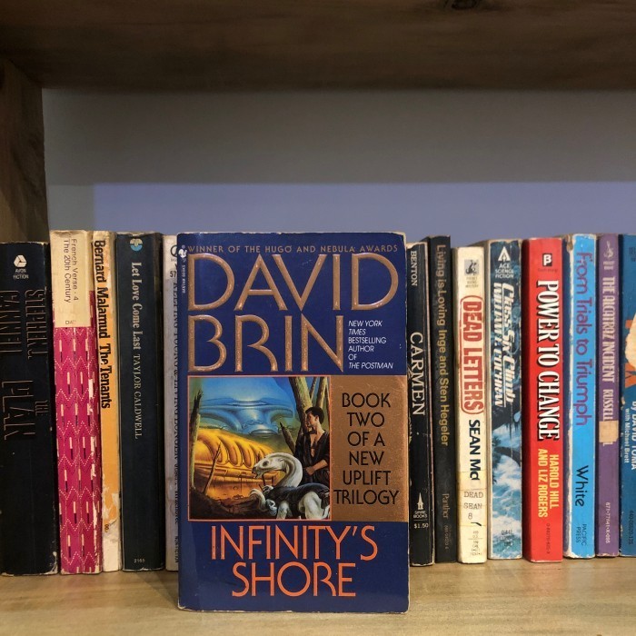 Jual Infinity's Shore - David Brin (Novel Bahasa Inggris) | Shopee ...