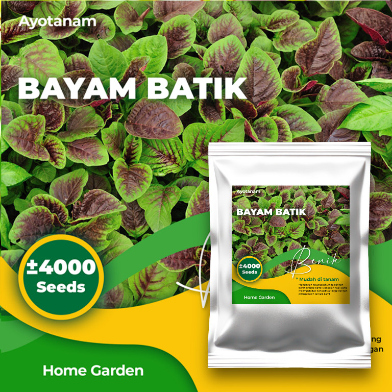 Jual AYOTANAM Benih Bayam Batik isi ± 4000 Benih | Shopee Indonesia