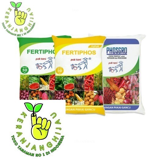 Jual Pupuk Phospat SP TSP PHOSGRO FERTIPHOS Kemasan Repack 500 Gram ...