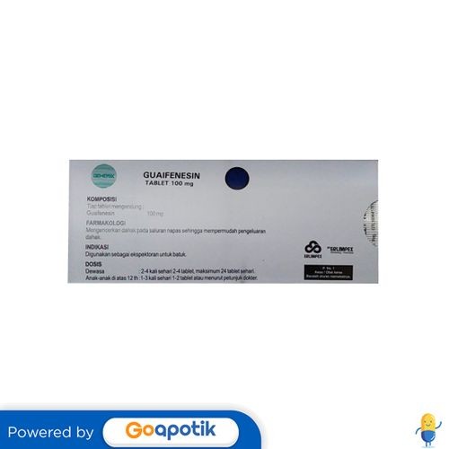 Jual Guaifenesin Erlimpex 100 Mg Strip 10 Tablet | Shopee Indonesia