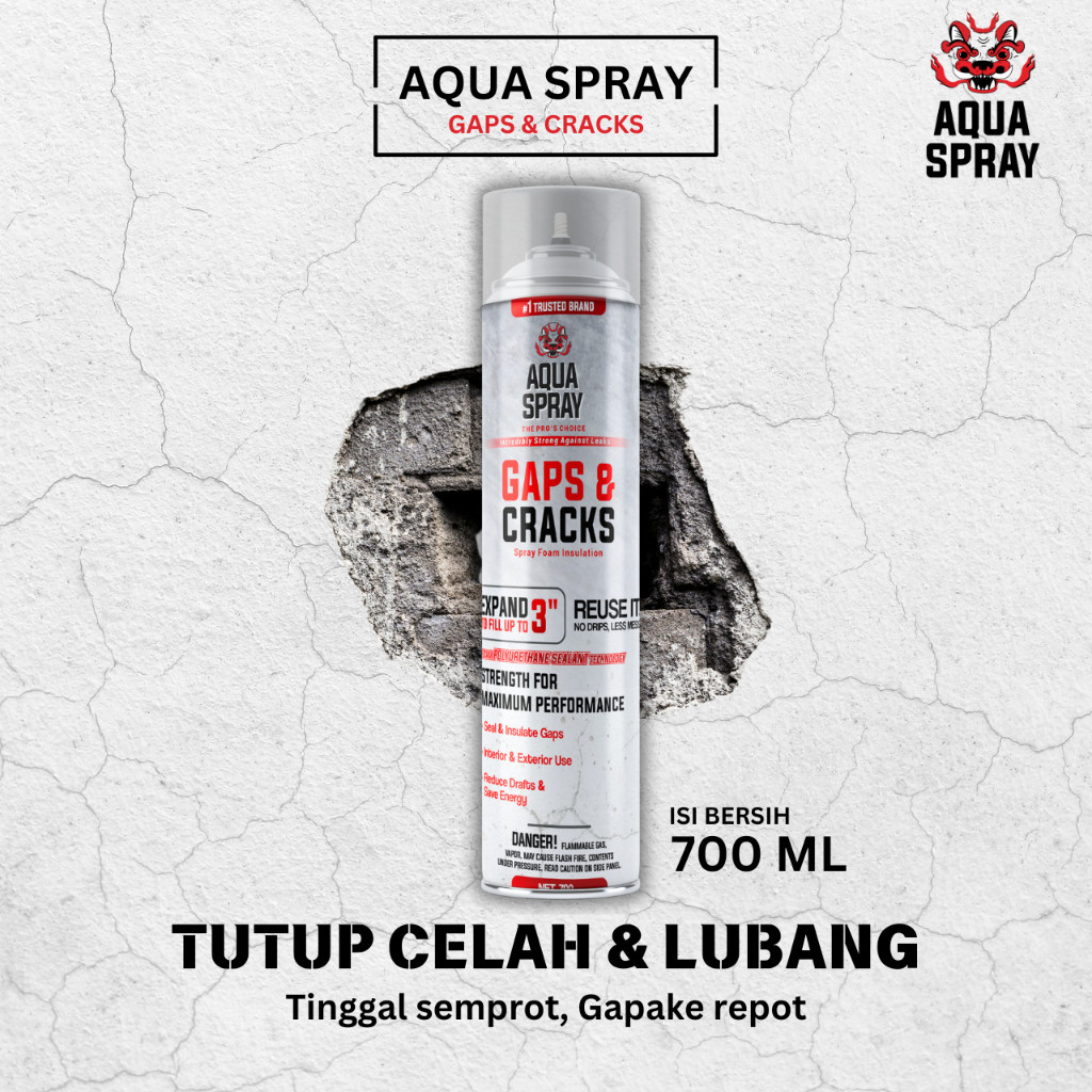 Jual C24DH Aqua Spray | Gaps & Cracks Foam Sealant | Busa foam spray ...