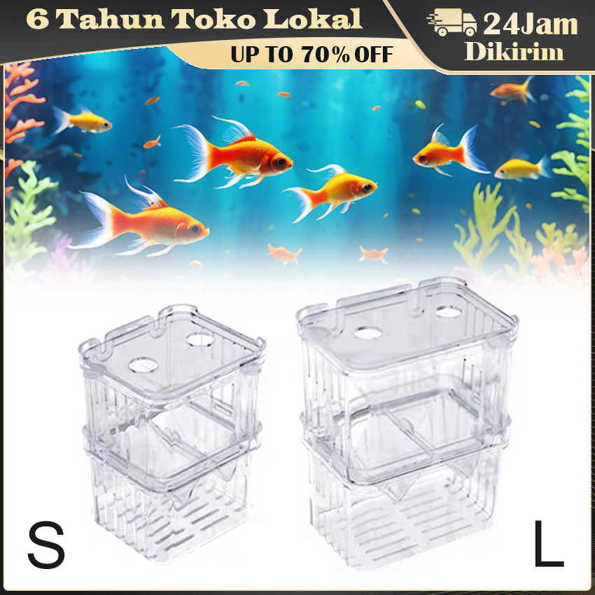 Jual Breeding Box Guppy / Isolation Box / Breeding Box Guppy Molly ...