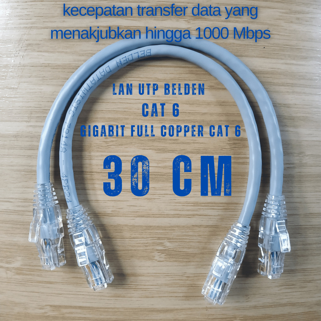 Jual Kabel lan cat 6 utp BELDEN gigabit 30 cm siap pakai | Shopee Indonesia