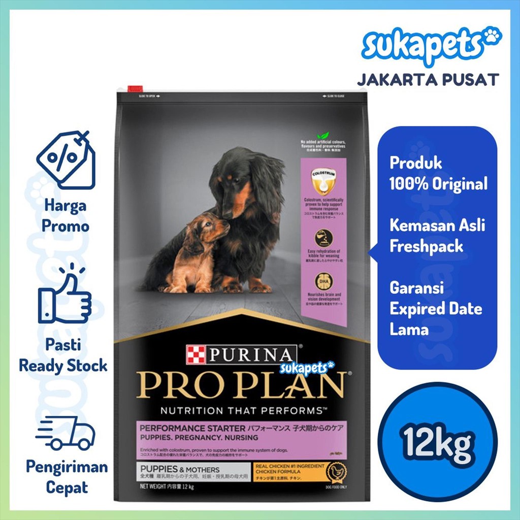Jual Pro Plan Dog Performance Starter Mother & Baby Dog Puppy Chicken ...