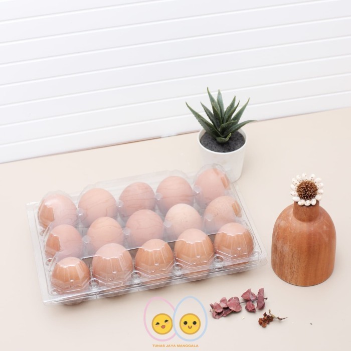 Jual MIKA TELUR AYAM 15 LUBANG SUDAH ADA PENGUNCI 50 PCS - 0.25 MM ...