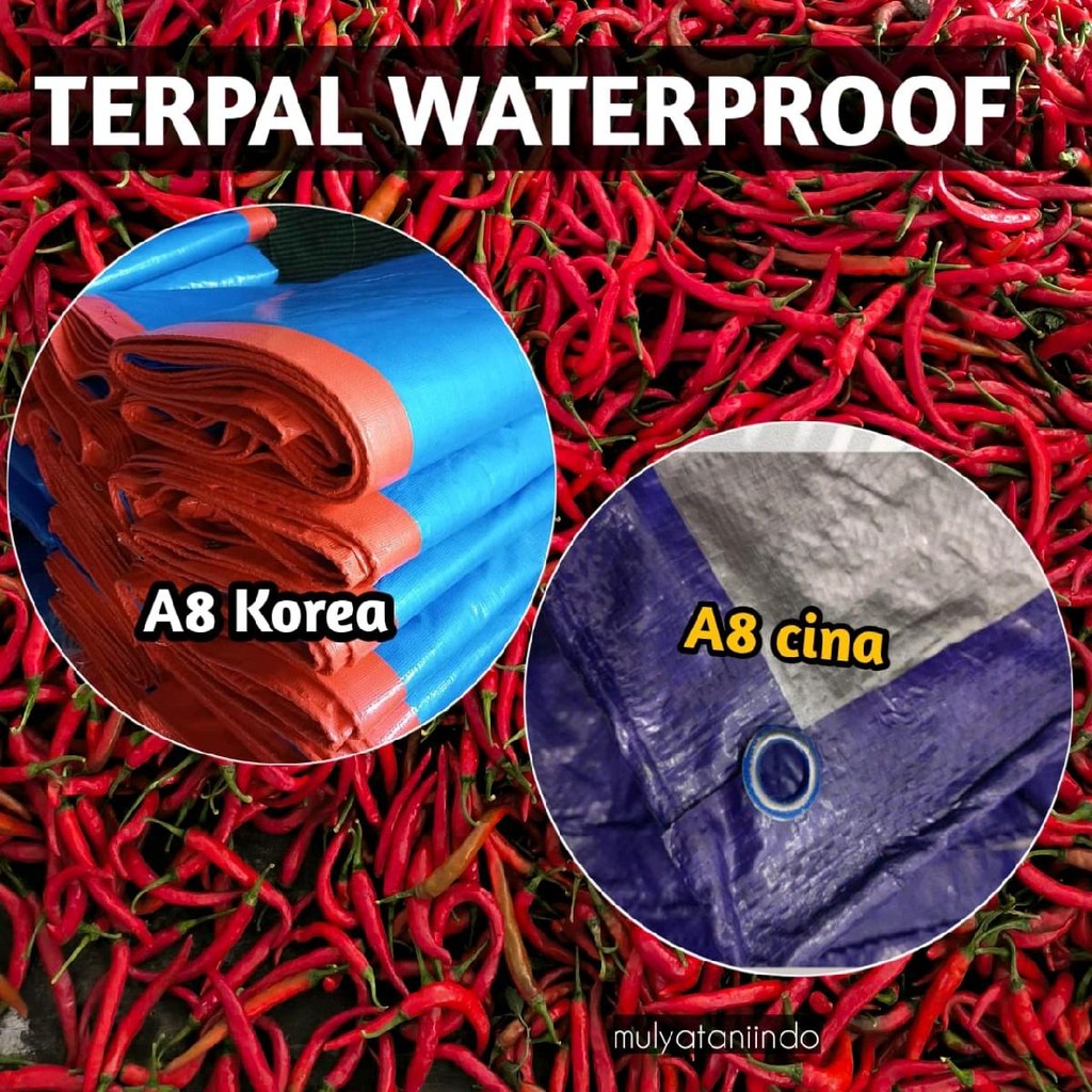 Jual Terpal A8 Uk. 3X3, 3X4, 3X5, 3X6 M (Cina Dan Korea) Biru Plastik ...