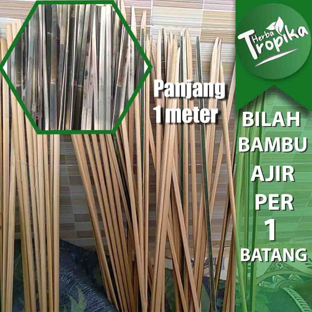 Jual Bilah Bambu Panjang 1 Meter per batang toko herba tropika | Shopee ...