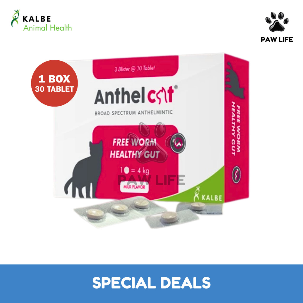 Jual PL 30 Tablet Kalbe ANTHEL CAT Obat Cacing Kucing Original Ampuh ...