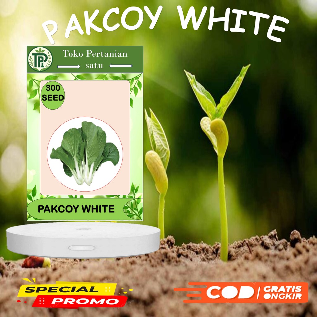 Jual TP- Benih 300 Biji Bibit Pakcoy White Batang Putih-toko pertanian1 ...