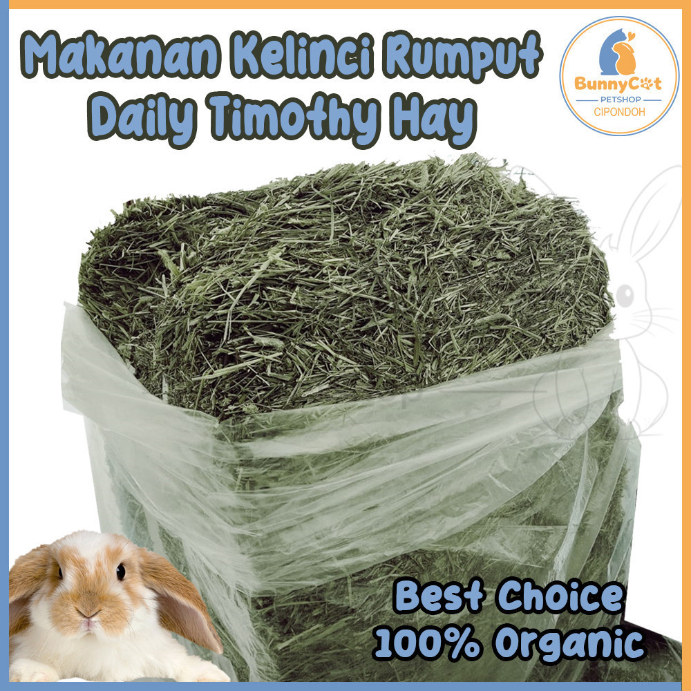 Jual Makanan Kelinci Rumput Daily Timothy Hay Best Choice 100% Organic ...