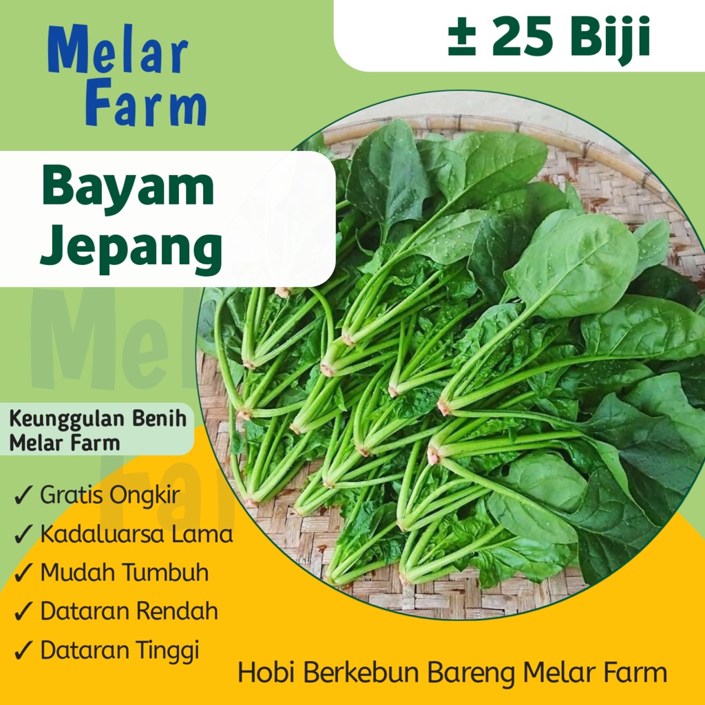 Jual Melar Farm - 25 Bibit Sayuran Bayam Jepang F1 Hibrida | Shopee ...