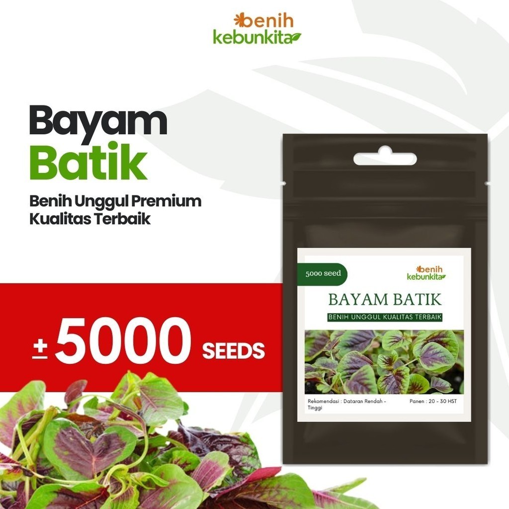 Jual Biji Benih Bayam Batik Belang Bibit Sayuran Loreng Unggul Tanaman ...