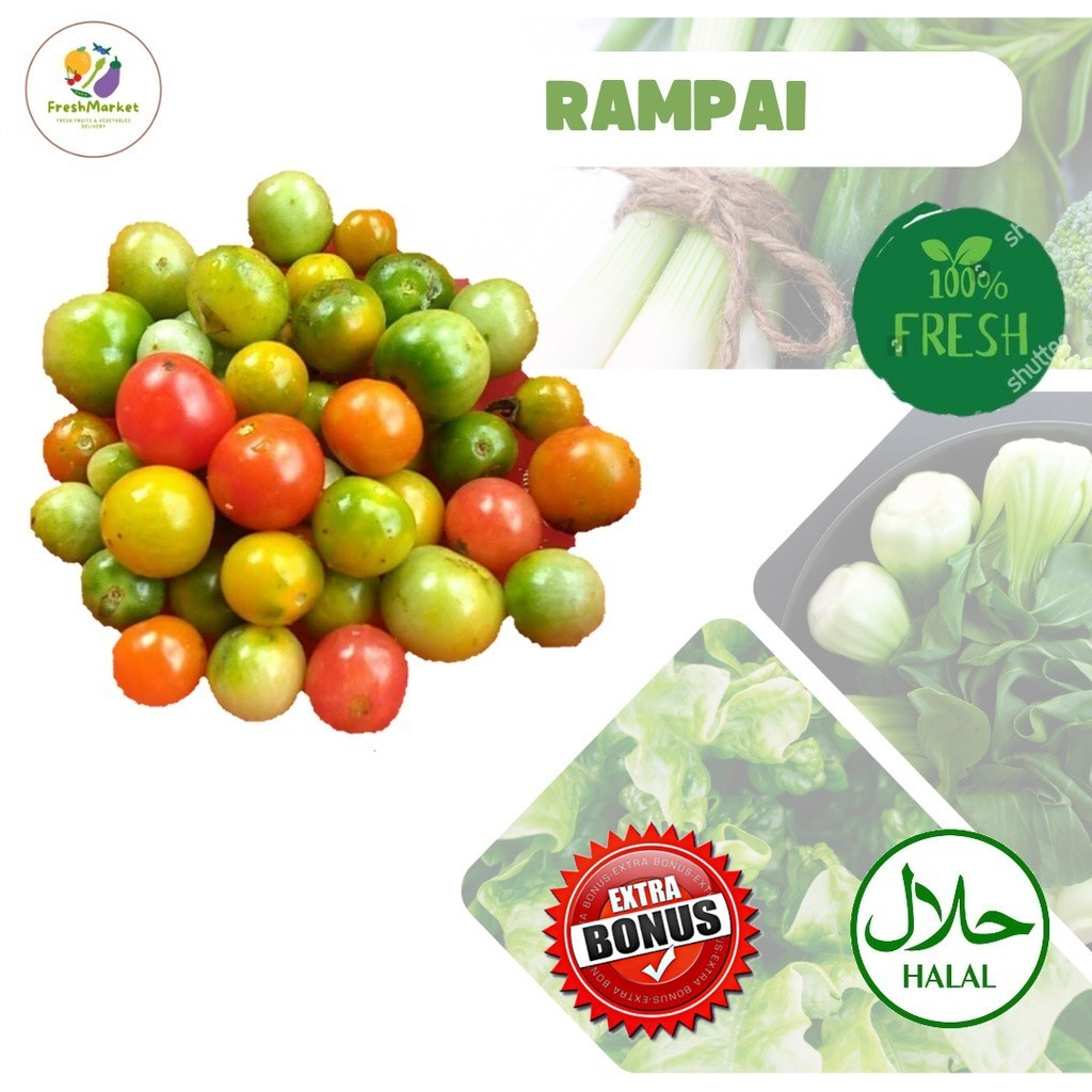 Jual Rampai Segar Sayur Sayuran 500 Gram Sayurinstant | Shopee Indonesia