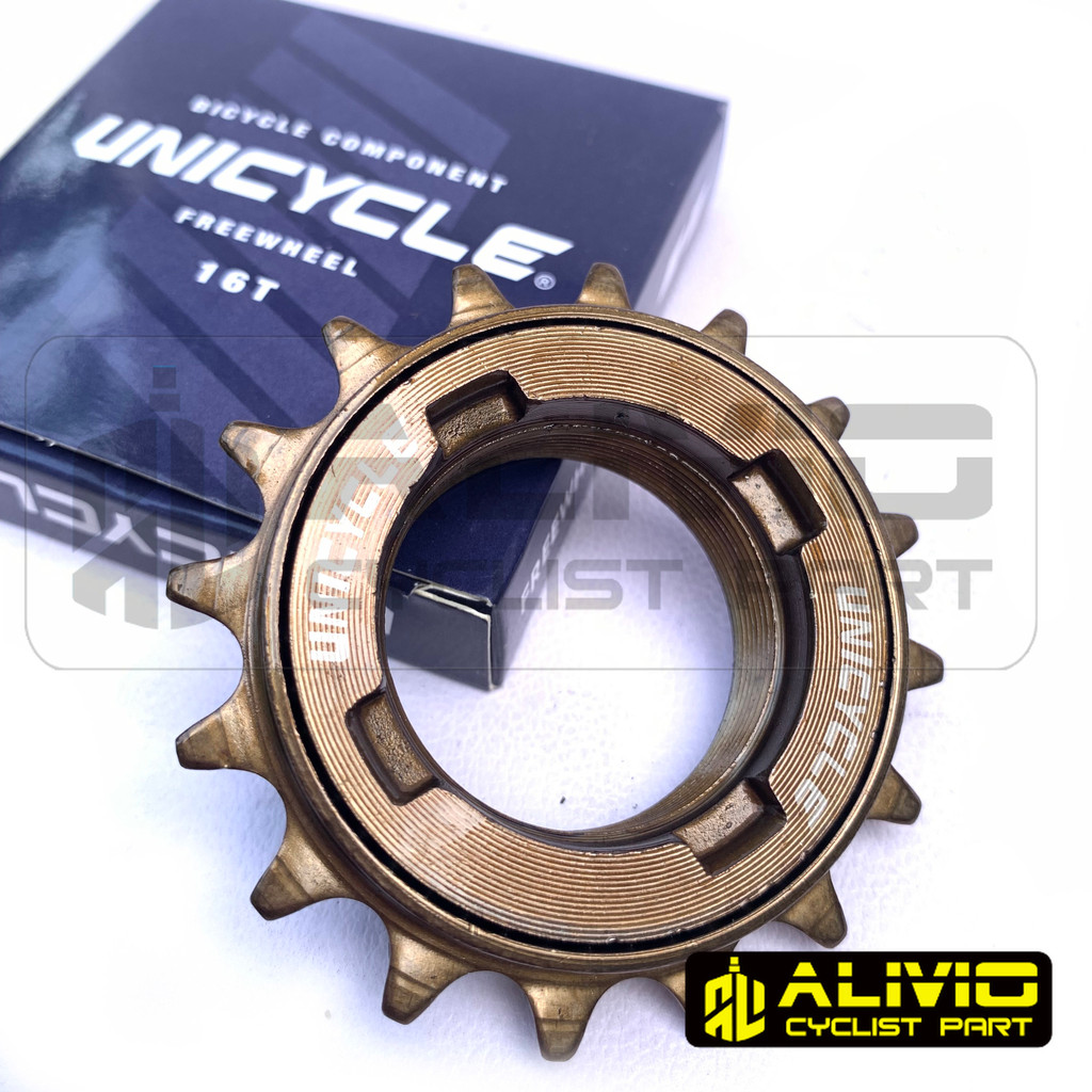 Jual Freewheel Jangkrik 1 Speed Unicycle 16T 16 T Single Gear Belakang ...