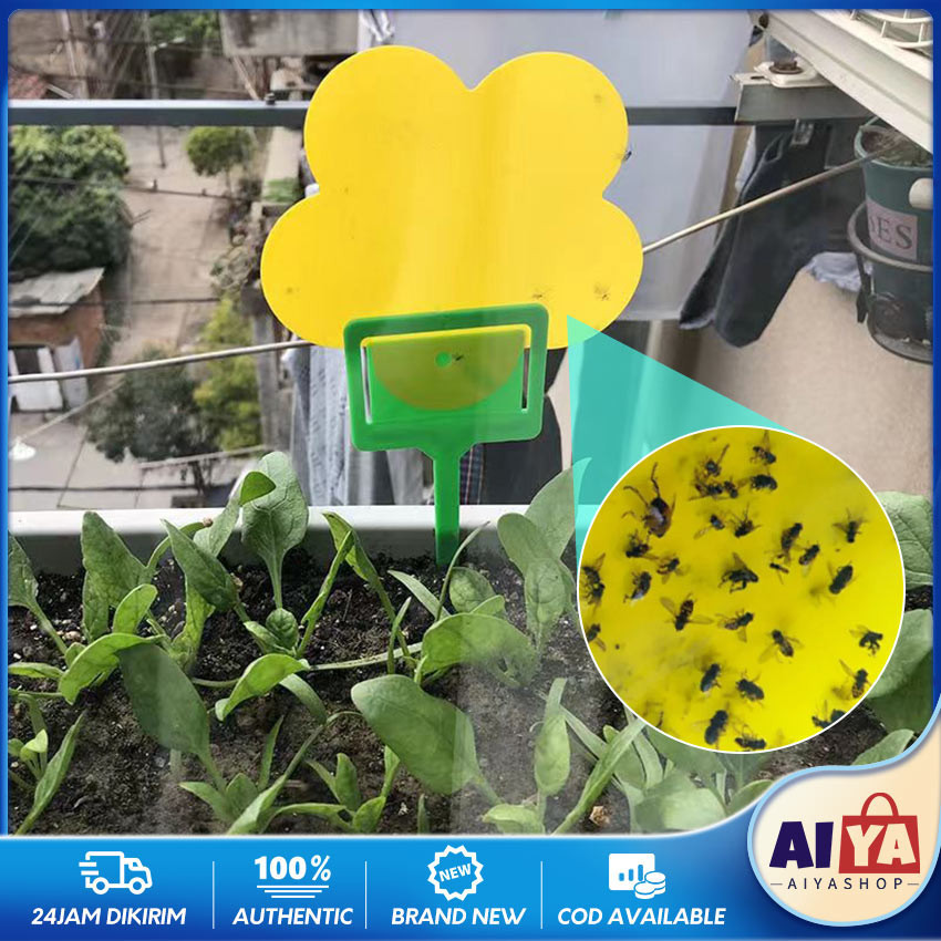 Jual 5/10Pcs Yellow Trap Perangkap Serangga Lalat Tanaman Lem Kertas ...