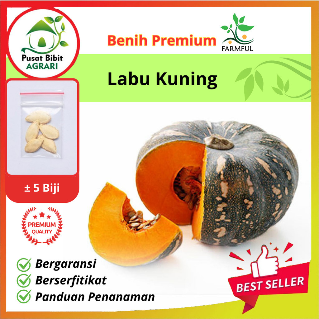 Jual FARMFUL Benih Sayuran Labu Kuning Bulat Unggul | Shopee Indonesia