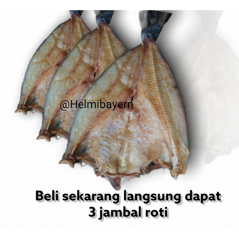 Jual Asin jambal roti utuh daging tebal asli Pangandaran dapat 3 ikan ...