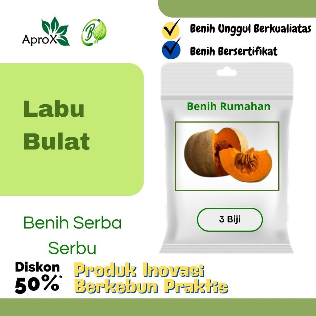 Jual Benih Labu Kuning Besar Labu Bulat Sayur Sayuran Hidroponik Bibit ...