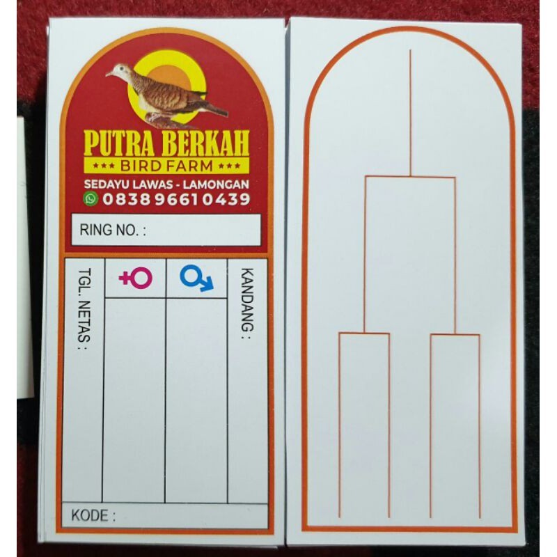 Jual 100 LEMBAR KITIR BURUNG PERKUTUT GRATIS DESAIN SESUAI PESANAN ...