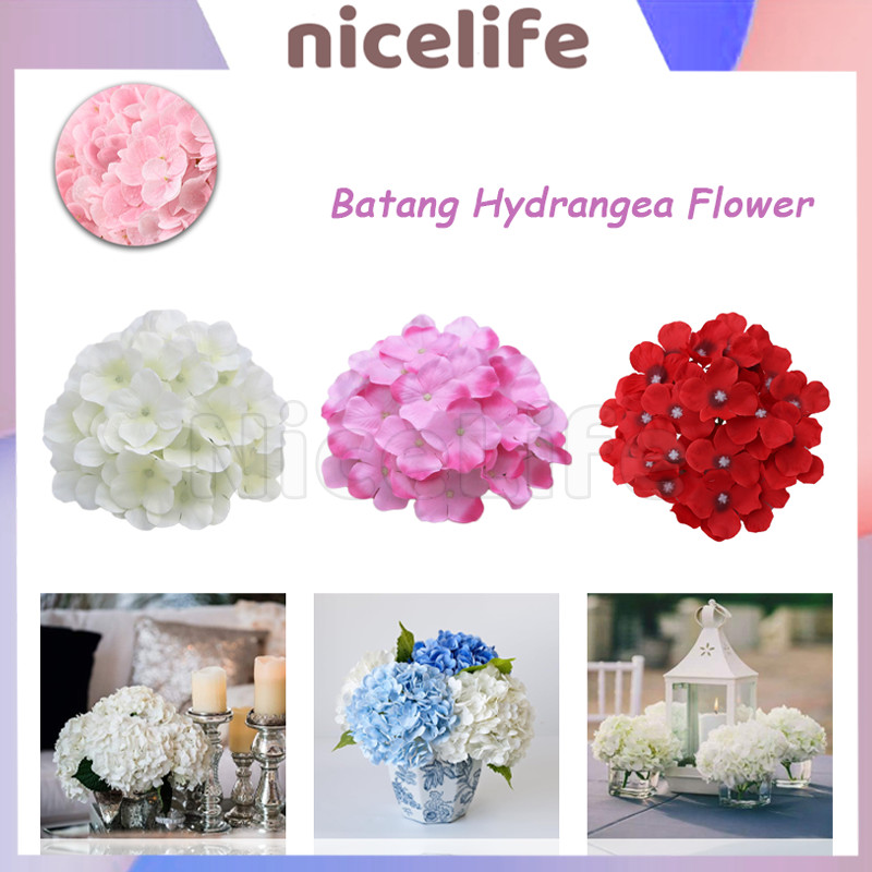 Jual Batang Hydrangea Flower for Hand Bouquet / Bunga Hydrangea ...