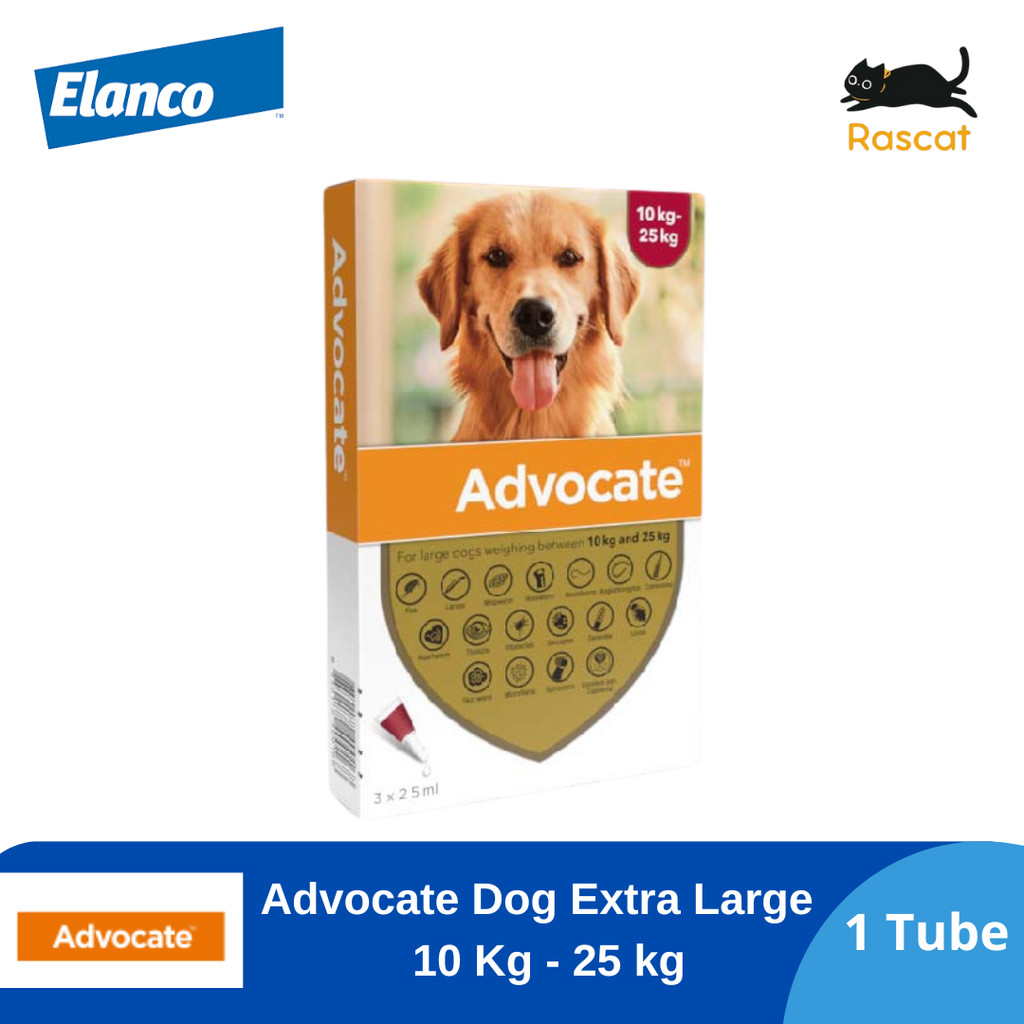 Jual Advocate For Large Dog 10 Kg - 25 Kg / Obat Kutu Anjing 1 Tube ...
