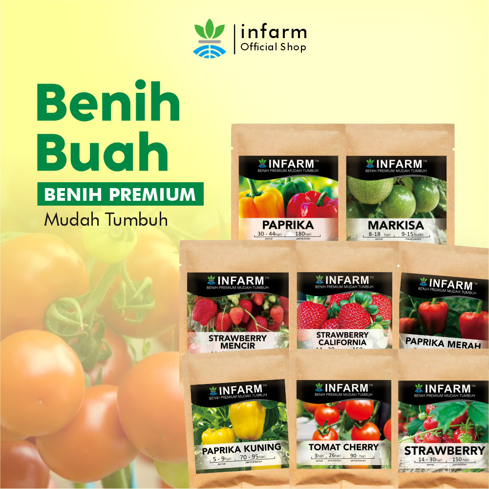Jual INFARM - Benih Bibit Unggul Buah Strawberry Mencir Strawberry ...
