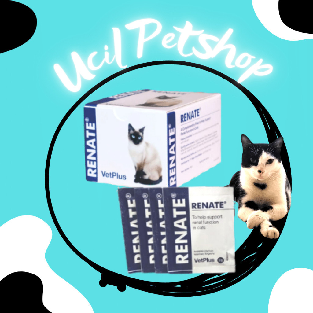Jual Renate Vetplus Cat Suplemen Khusus Ginjal Kucing 2gr (1 Pcs ...