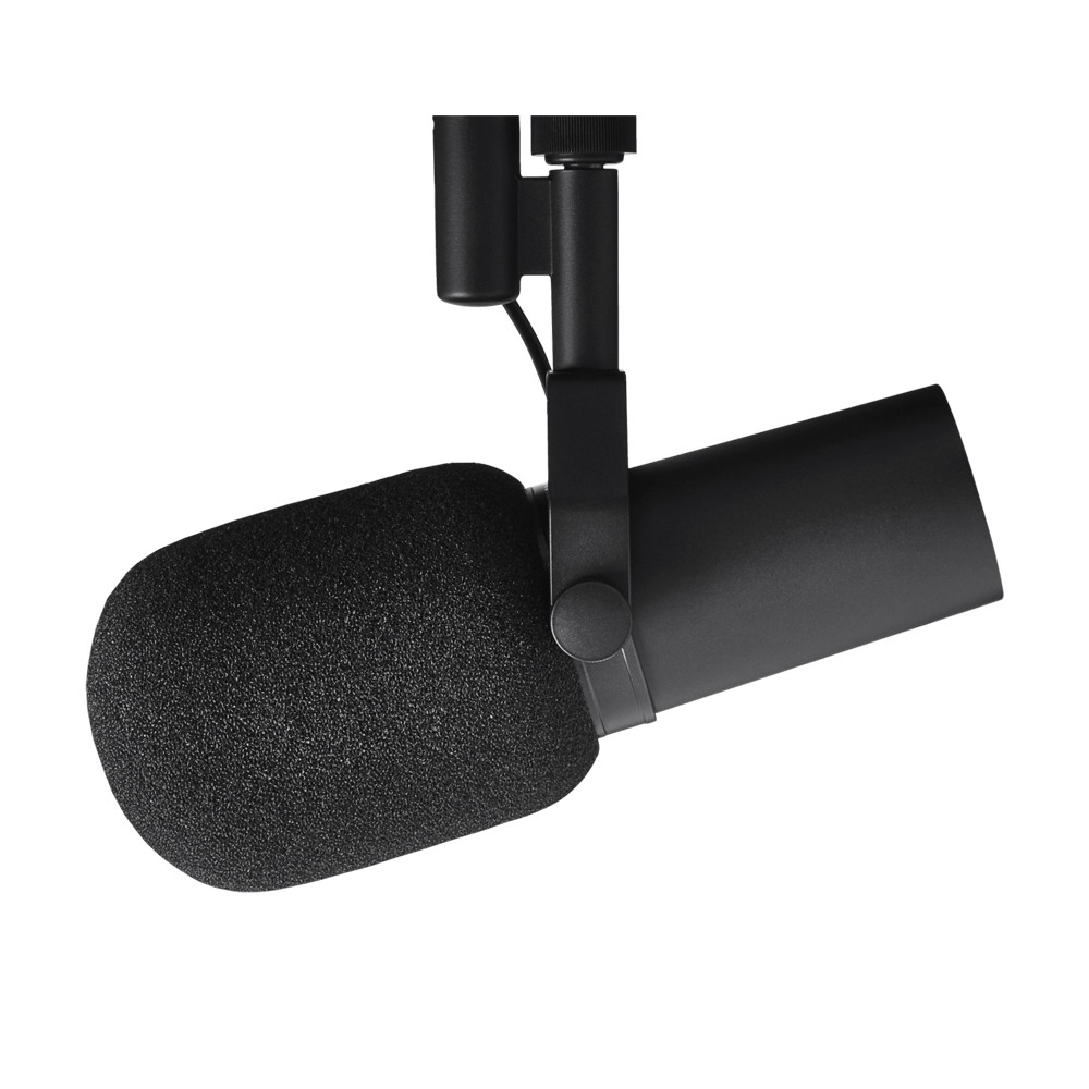 Jual Professional Dynamic Microphone Selectable Frequency Response Mic ...