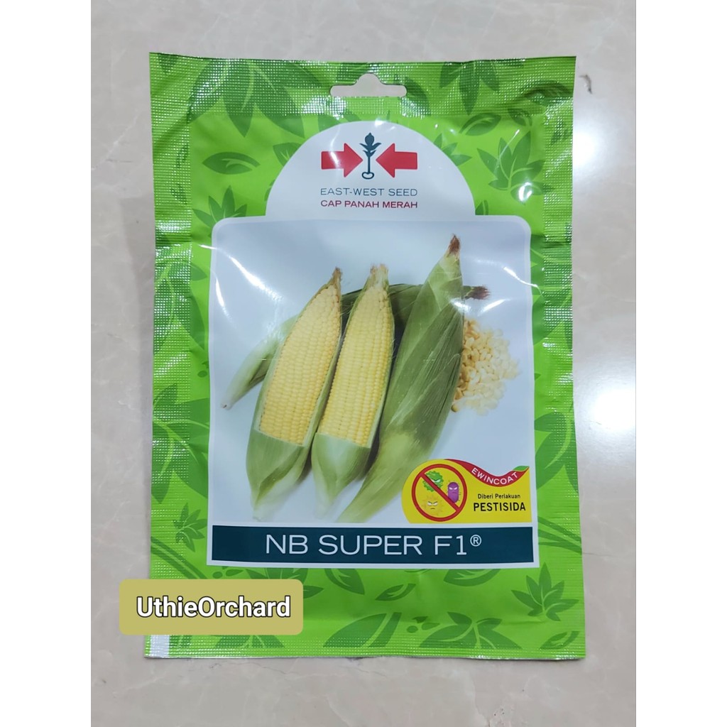 Jual Benih Panah Merah – Jagung Manis NB Super F1 SP isi 200 Benih ...