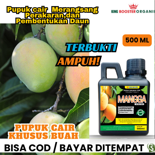 Jual Pupuk Booster MANGGA 500ml Pupuk Cair MANGGA Pupuk Semprot Untuk Tanaman dan MANGGA Pupuk ...