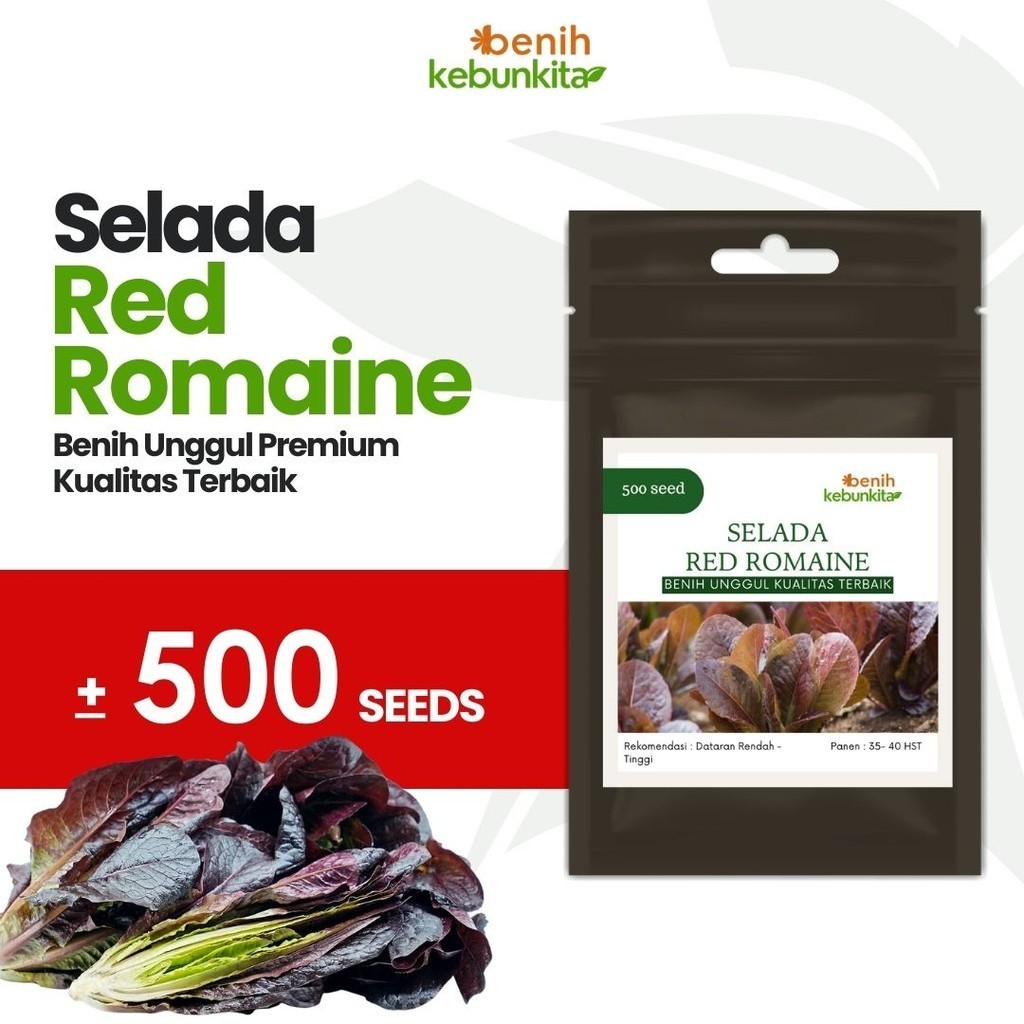 Jual Biji Benih Bibit Tanaman Sayuran Selada Red Romaine Unggul Berkualitas | Shopee Indonesia